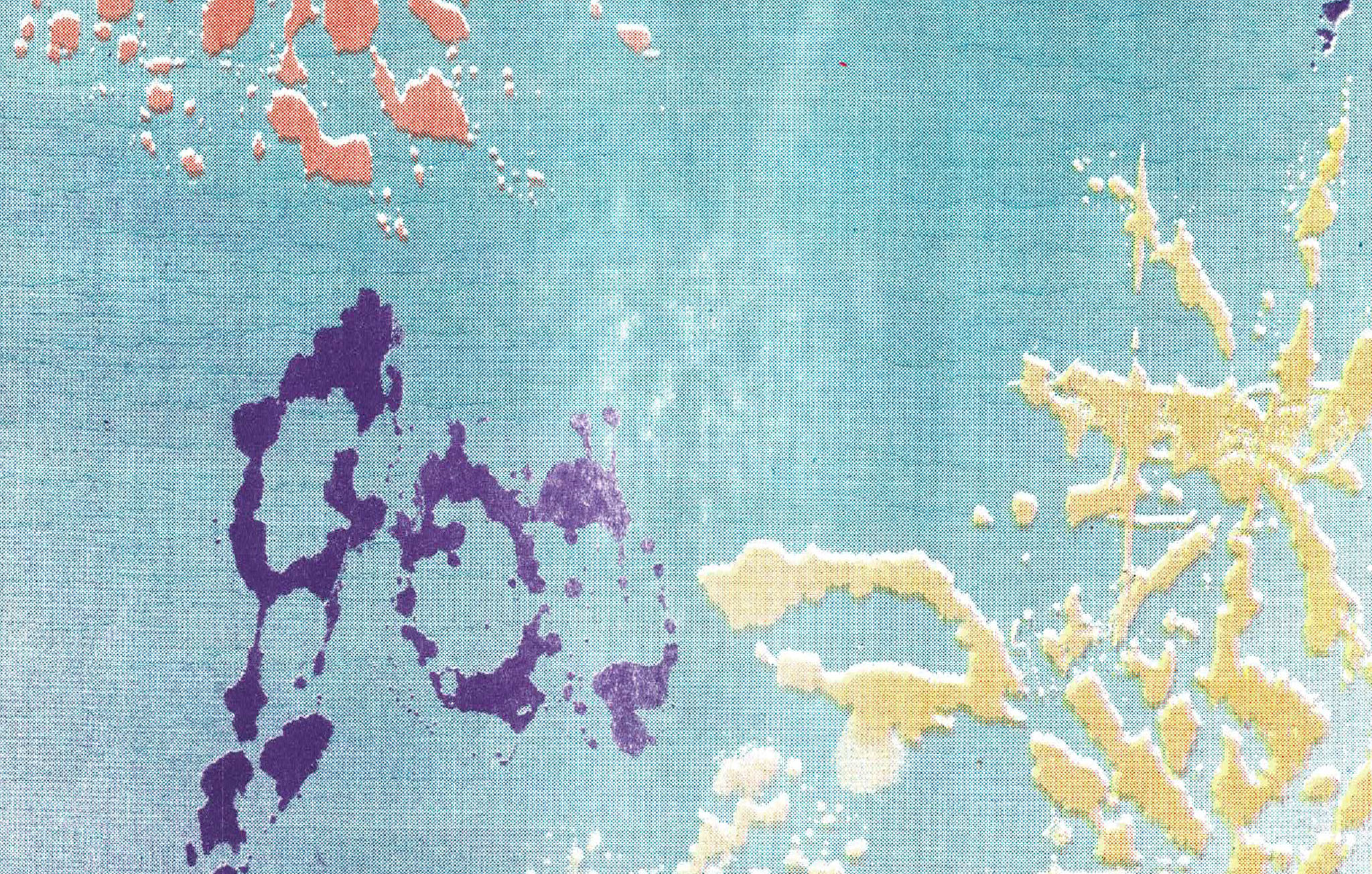 SOFT CITY - Artist book publisher and Risograph studio based in ...